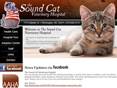 The Sound Cat - BlueTone Media Blog